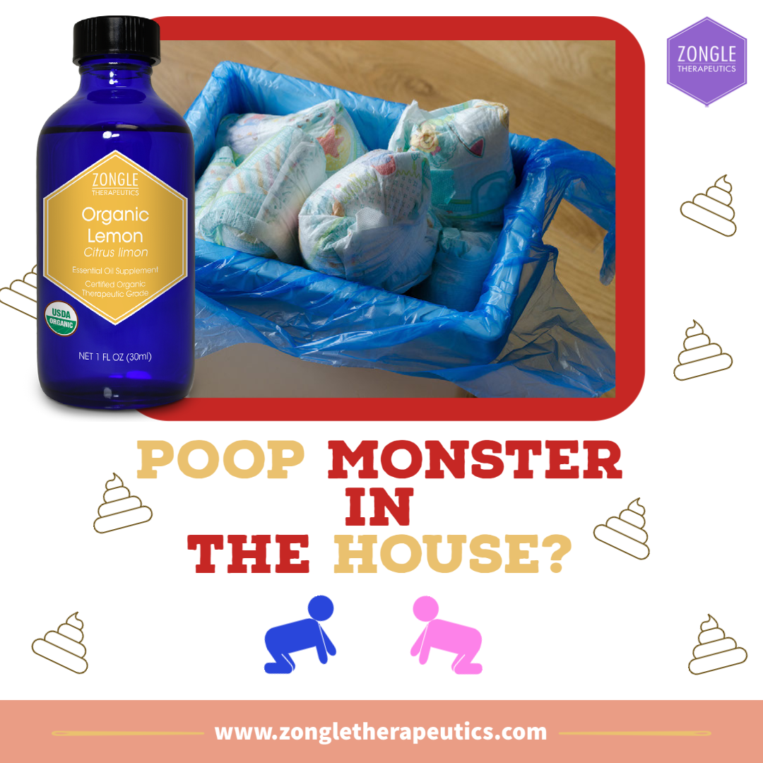 Got Poop Monsters In The House? Use This Hack To Get Rid Of The Stink ...