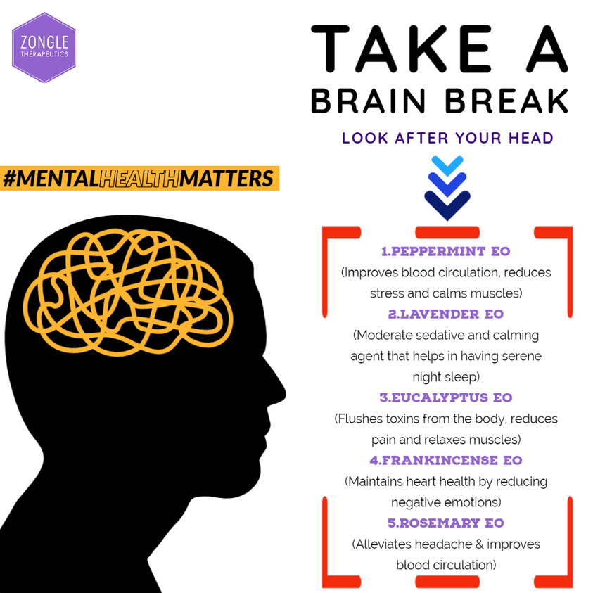 Take A Brain Break- Look After Your Head – Zongle Therapeutics